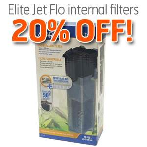 Bono Fido - Mega Pet Warehouse